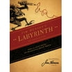 Labyrinth: Jim Henson's Labyrinth: The Novelization (Paperback ...