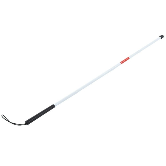 Walking Stick The Blind