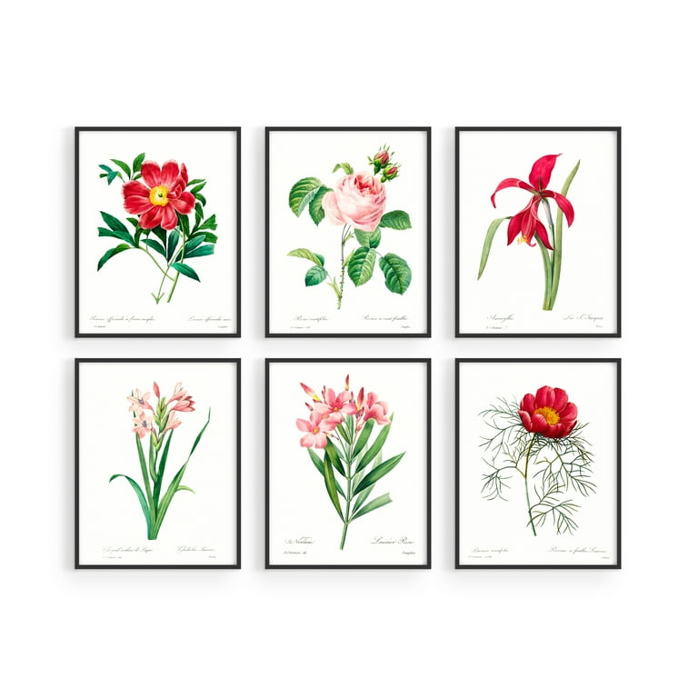 Victorian Flower Prints