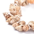20pcs Unisex Natural Spiral Shell Stretch Bracelets Beaded Bracelets ...