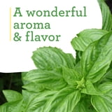 Bonnie Plants Sweet Basil 19.3 oz. 2-Pack - Walmart.com