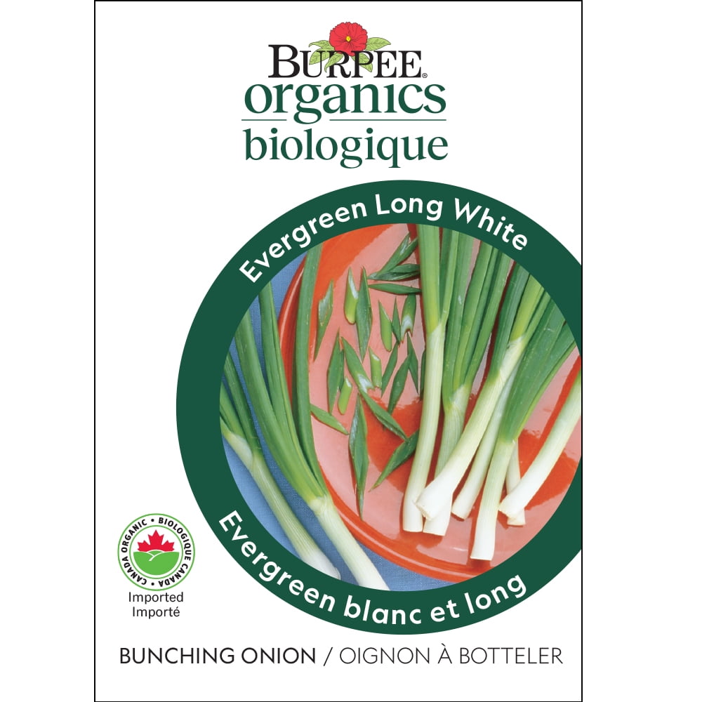 Click here for Burpee Canada Burpee Organic Evergreen Long White... prices