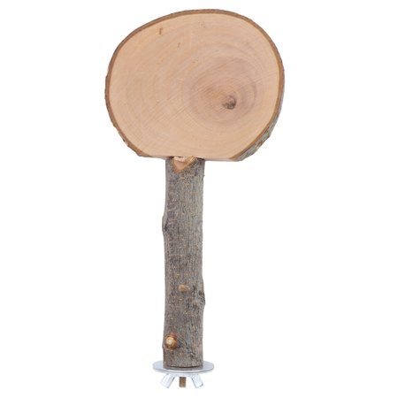 Parrot Platform,Parrot Standing Platform Natural Bird Platform Bird ...