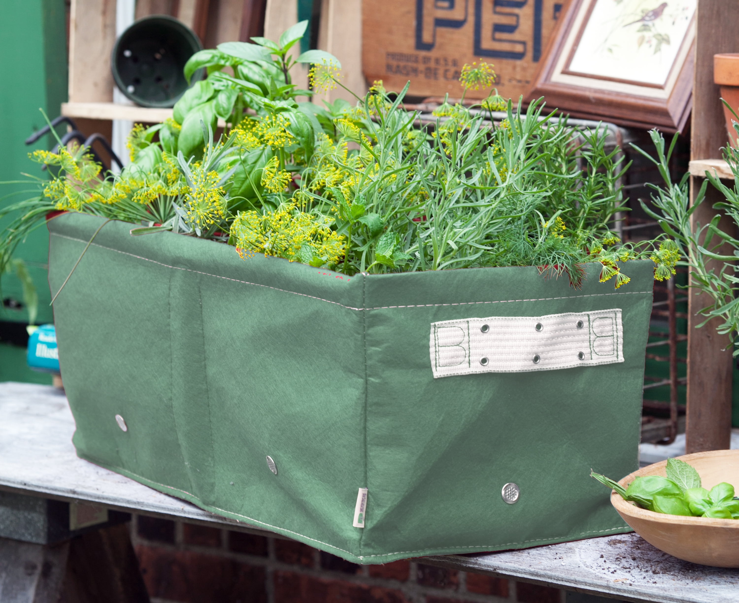 BloemBagz Raised Bed Planter Grow Bag 12 Gallons Living Green - Walmart.com