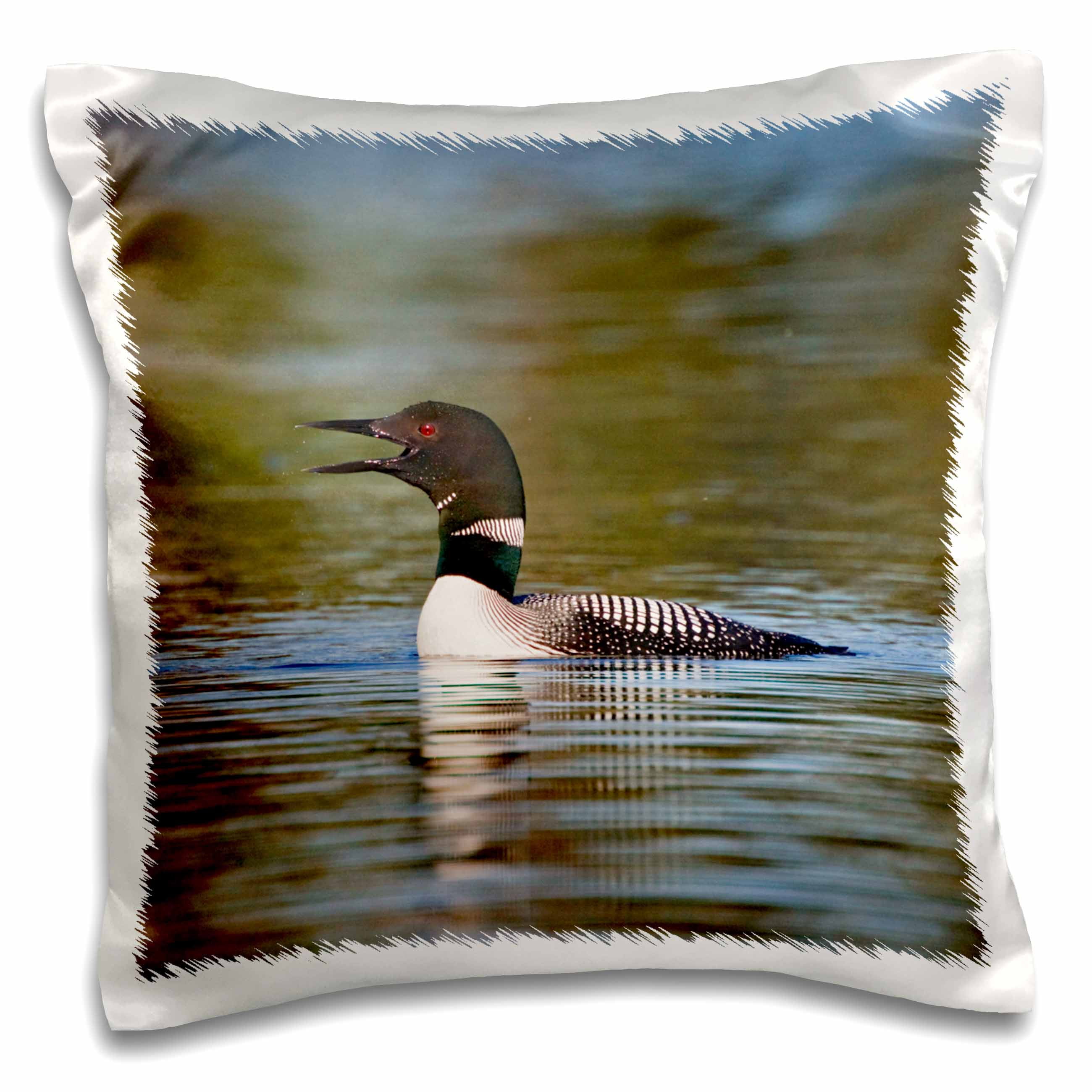 British Columbia, Common Loon bird on lake-CN02 LDI0009 - Larry Ditto ...