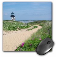 3dRose Flamingo, Mouse Pad, 8 by 8 inches - Walmart.com