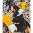 Cat Handling Protective Gloves - For Falconr, Dog, Hawk, Bird and ...