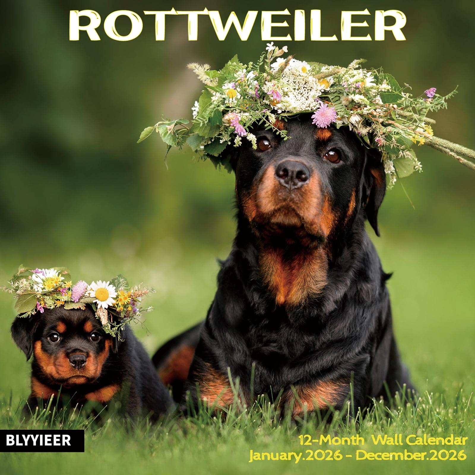 Click here for Blyyieer 2026 Wall Calendar rottweiler Wall Calend... prices