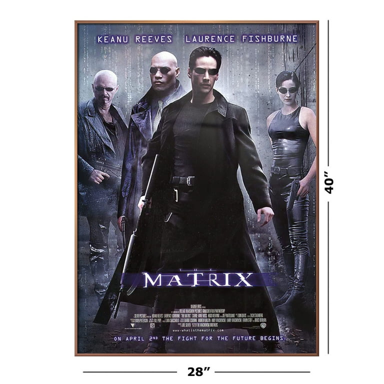 The Matrix Reloaded Poster