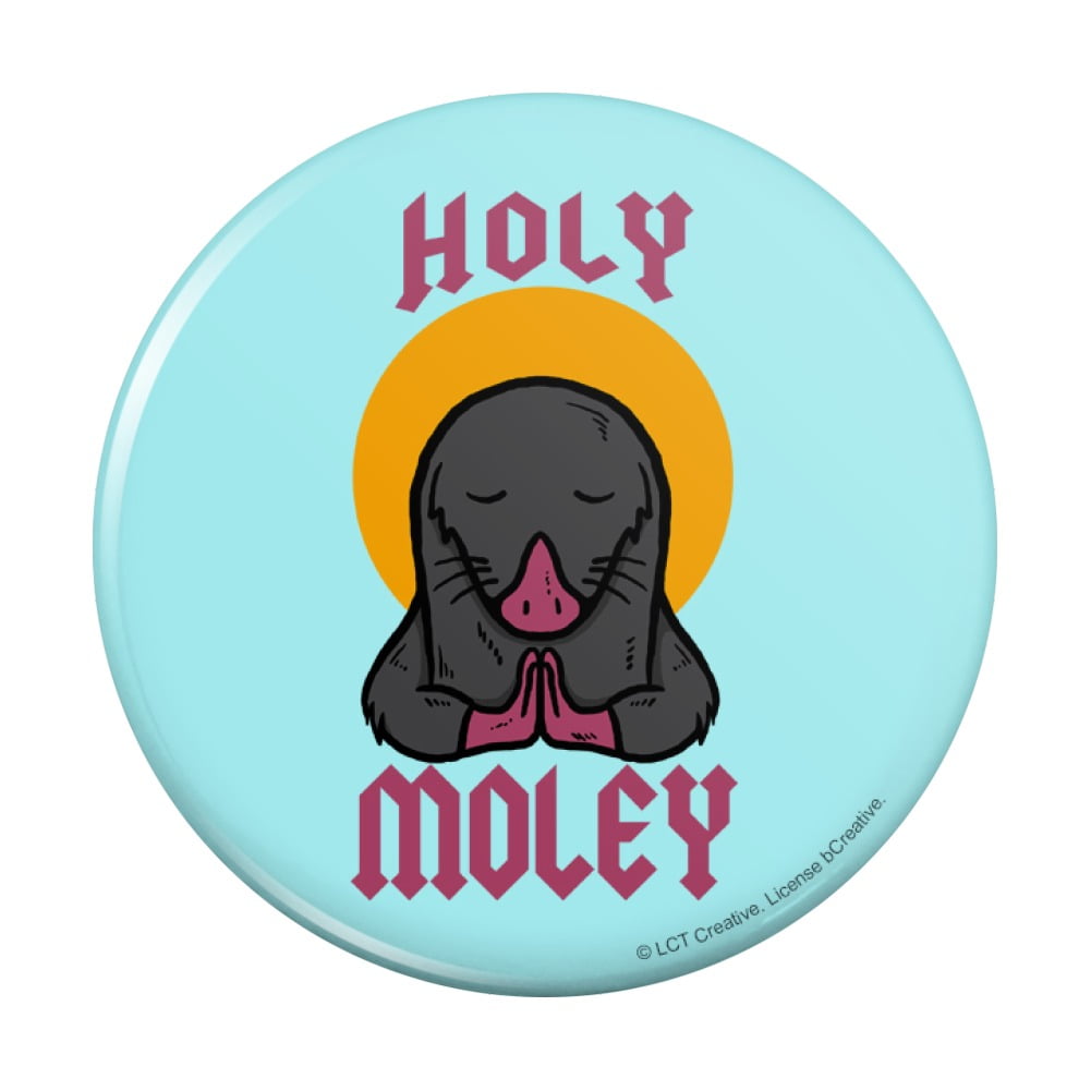 Holy Moley Religious Mole Funny Humor Pinback Button Pin - Walmart.com