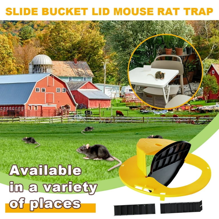 Bucket Mouse Trap Farm