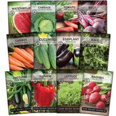 Heirloom Vegetable & Herb Seeds Set (43) - 100% Non-GMO Sprouting Veg ...