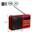 Portable Mini Digital FM Radio with MP3, USB, TF, Headphone Jack ...