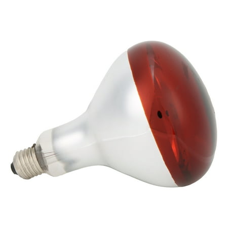 Heat Lamp Bulb, Chicks Heat Lamp Bulb 220V For Chicken For Poultry ...