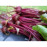 Beet Ruby Queen Great Heirloom Vegetable 1,500 Seeds - Walmart.com