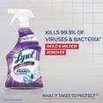 Lysol Mold And Mildew Remover Foamer With Bleach Bathroom Cleaner Spray