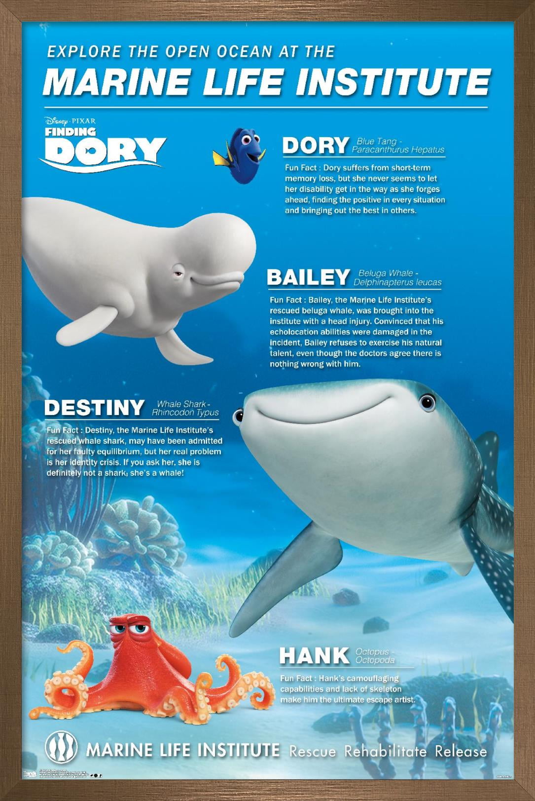 Disney Pixar Finding Dory - Group Wall Poster, 22.375" x 34", Framed ...