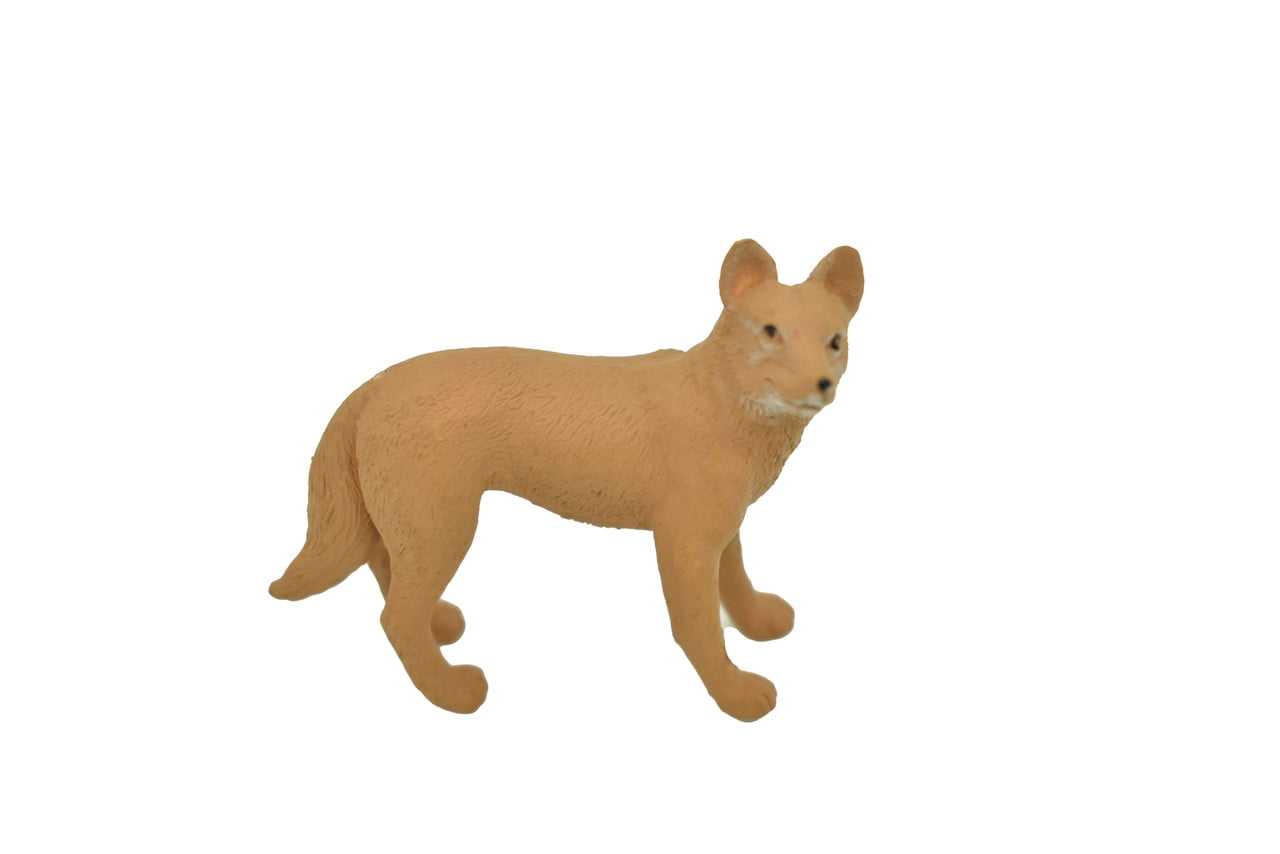 Dingo, Plastic Educational Toy, Kids, Realistic Figure, Lifelike Model ...