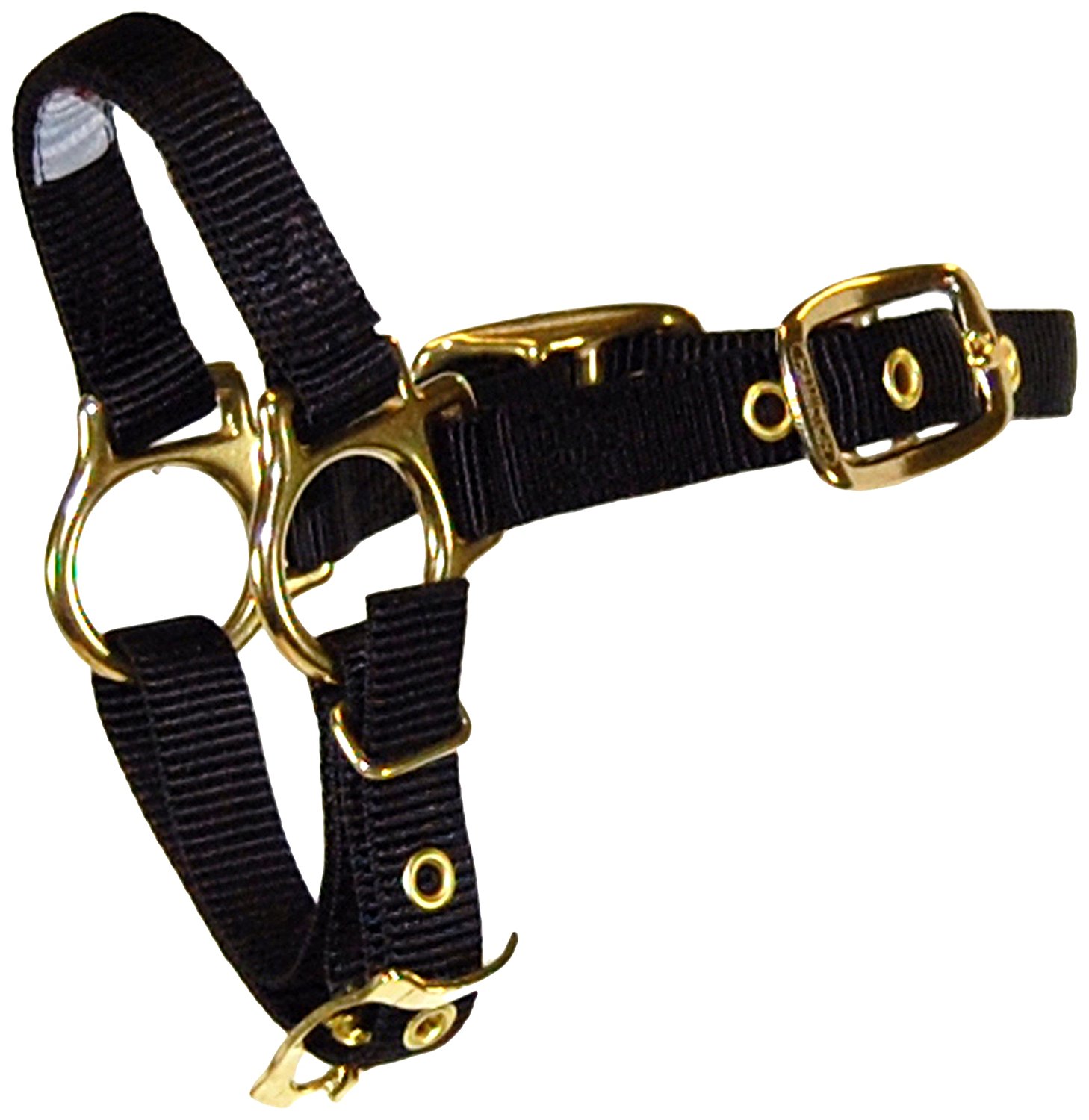 Hamilton Halter Livestock Sheep Adjustable Chin Strap Durable Nylon ...