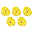 Andvari 5pcs Wasp Catchers Fatal Funnel Plastic Indoor Outdoor Reusable Wasp Traps For Terraces