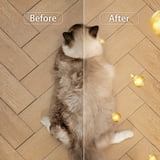 Cat Hair Dryer Box - 65L Large Capacity, Automatic Door Opening, Ultra ...