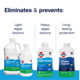 HTH Pool Care Algae Guard Advanced: Fast-Acting Algaecide Water Cleaner ...