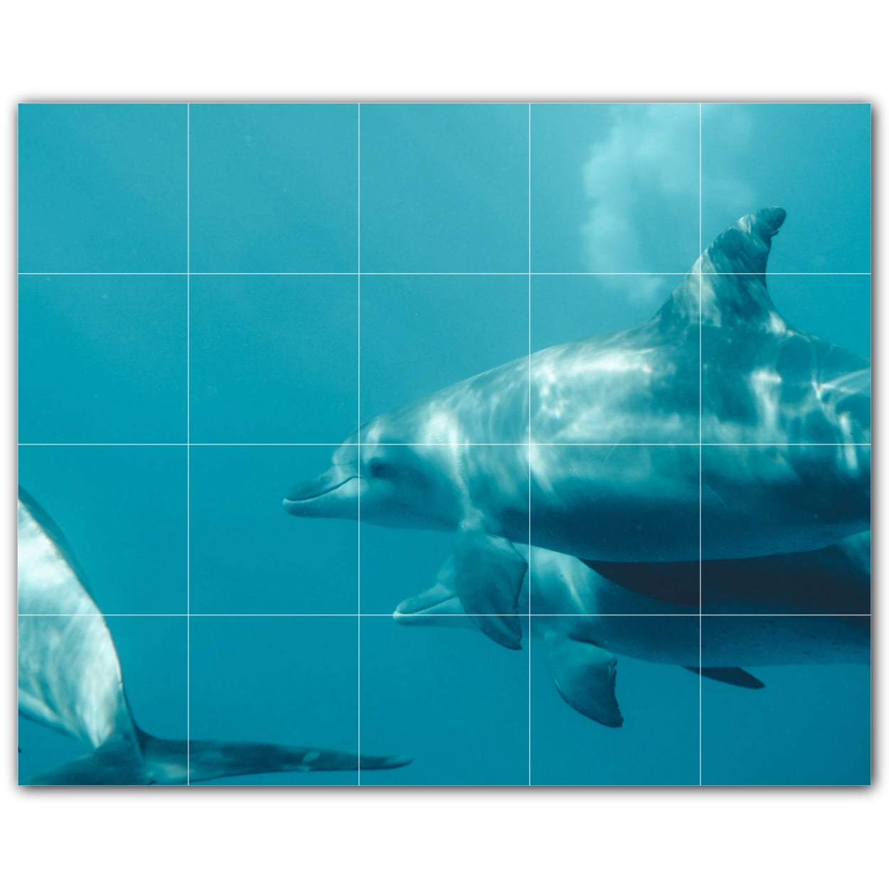 Picture-Tiles.com: Dolphin Ceramic Tile Wall Mural WAL500525-54XL. 60"W ...