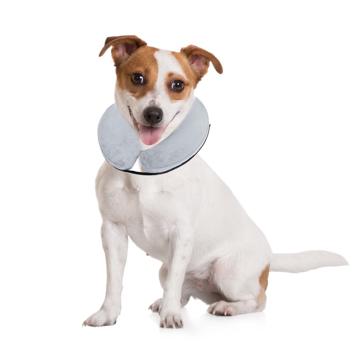 Protective Inflatable Collar for Dogs and Cats - Soft Pet Recovery ...