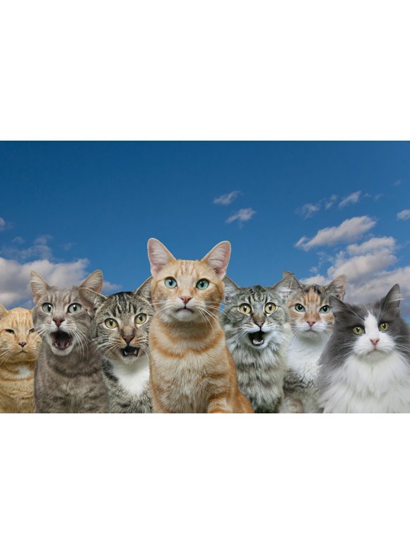 Funny Posters in Posters - Walmart.com