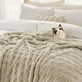 Cozy Comfort Fleece Throw Blanket for Couch - Super Soft Cozy Blankets ...