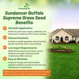 Buffalo Supreme Grass Seed Blend for Full Sun, Low Maintenance, Drought ...
