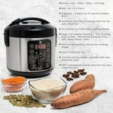 Moss & Stone 4-8-Cup Electric Rice Cookers, Clear - Nonstick Interior ...