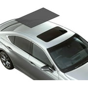 Moon Roof Car