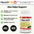 Glucocil 15-Day Supply 60CT – Premium Blood Sugar Support – 2+ Million ...