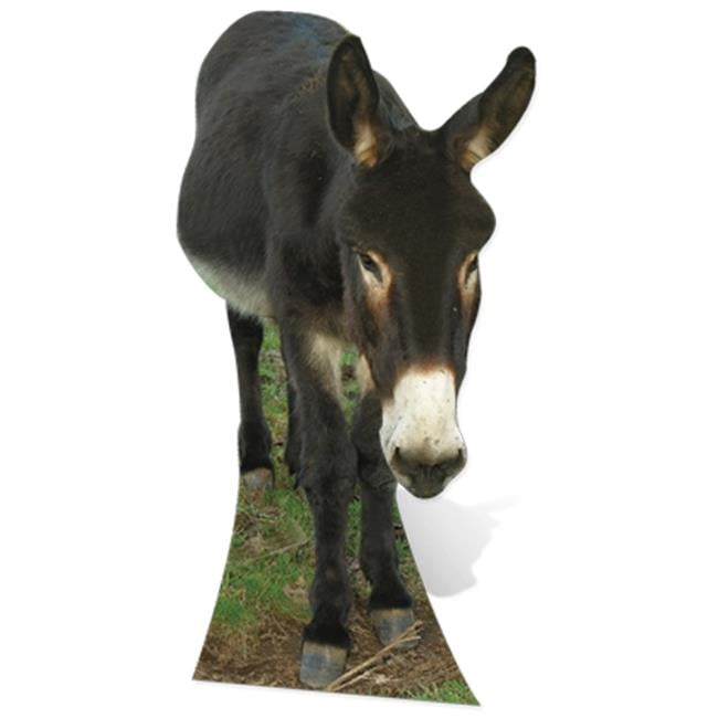 Star Cutouts SC71 Donkey Cutout - 48 x 1 in. - Walmart.com