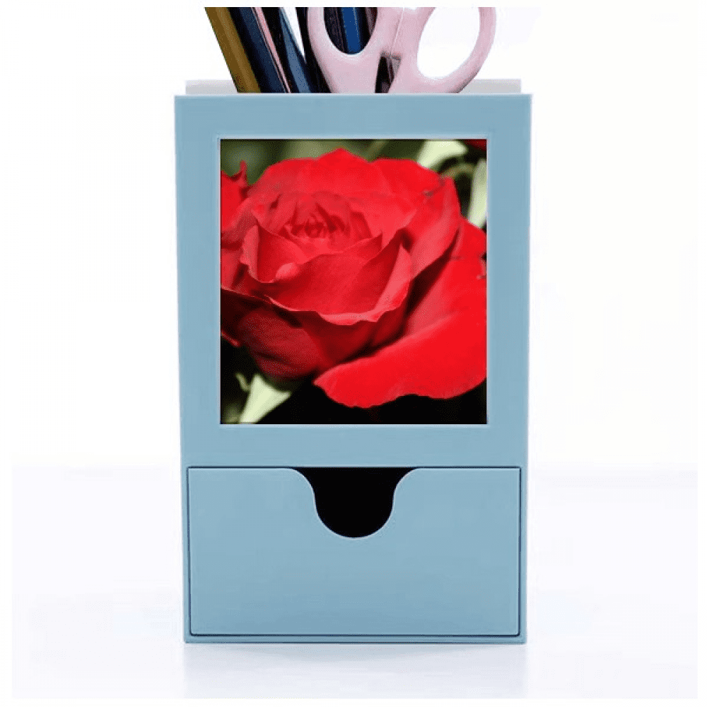 Red Big-sized Roses Flowers Desk Supplies Organizer Pen Holder Card ...