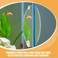Betta Fish Toys Food Betta Training Mirror 9.00X9.00X1.00CM - Walmart.com