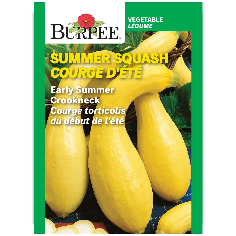 Click here for Burpee Canada Burpee Early Summer Crookneck Summer... prices