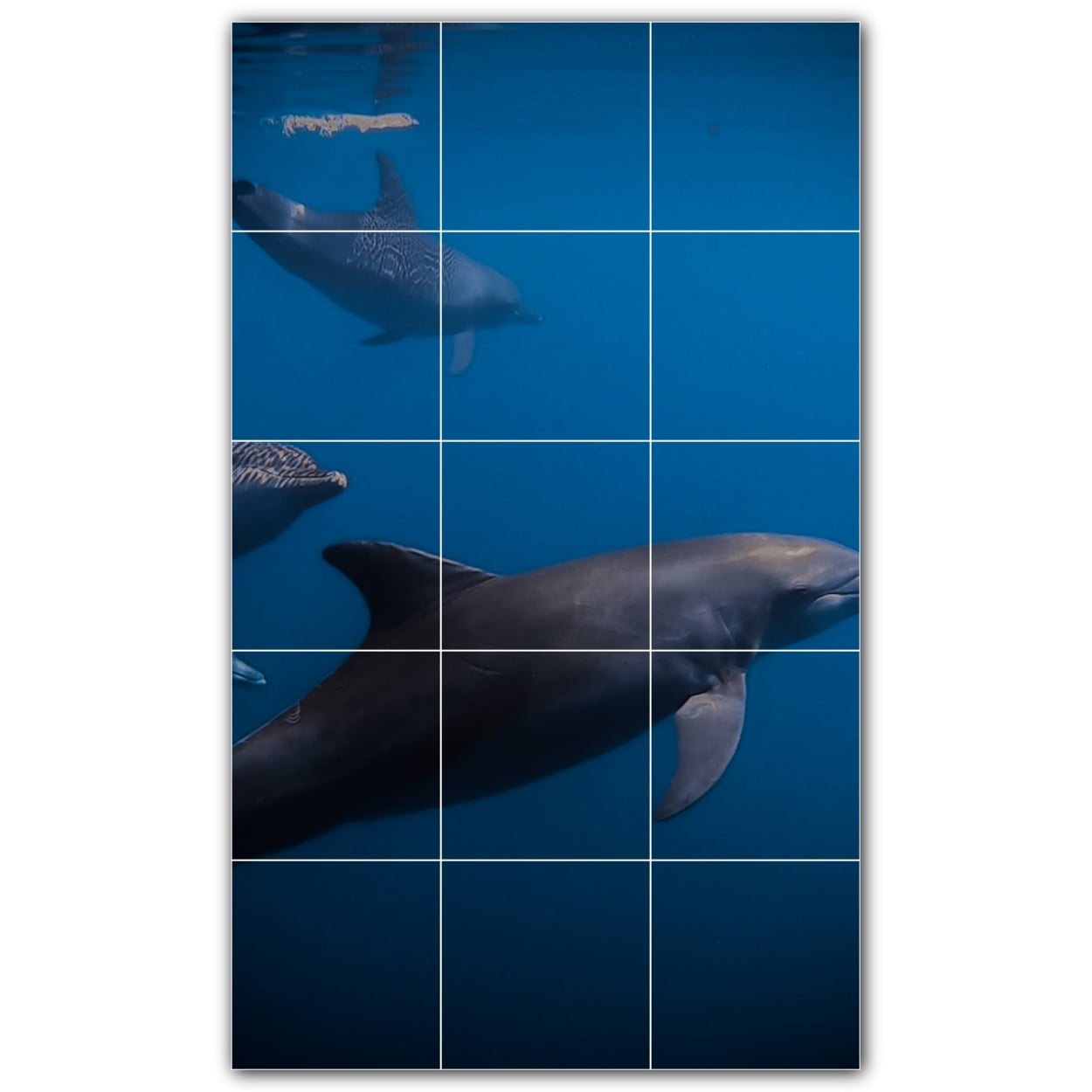Picture-Tiles.com: Dolphin Ceramic Tile Wall Mural WAL500499-35M. 18"W ...