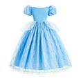 Princess Cinderella Dress Costume for Girls Puff Sleeve Fancy Birthday ...