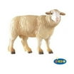 Sheep - Walmart.com
