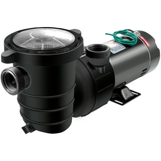 PENTAIR 340210 Dynamo Above Ground Swimming Pool Pump 1.5 Hp w/3' Cord ...