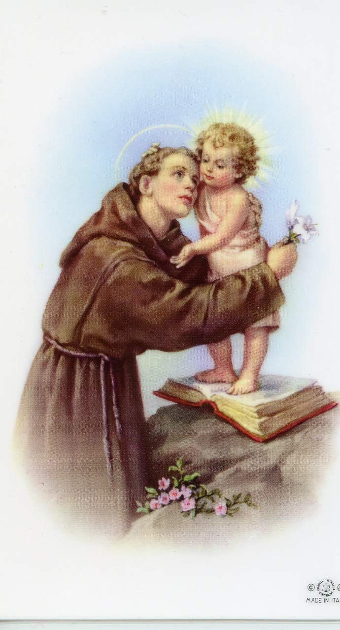 St. Anthony Lost Articles - Prayer - Relic Laminated holy card ...