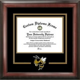 Tulane University 14" x 17" Spirit Diploma Frame - Walmart.com