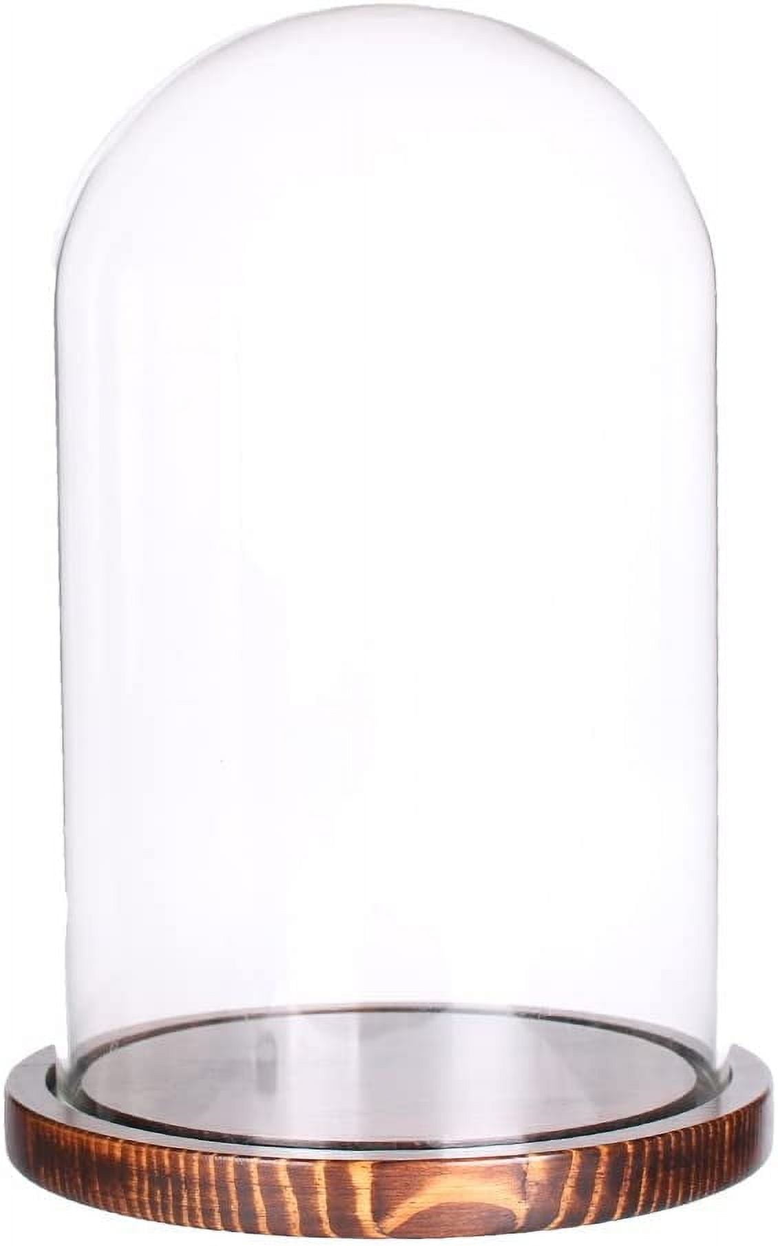 Moonlear Glass Cloche Bell Jar Display Dome with Wooden Base Dia 5.9" x ...