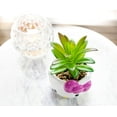 Sanrio Hello Kitty Ceramic Plant Pot with 3-Inch Mini Artificial ...