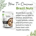 Pure Premium Jumbo Brazil Nuts By Namo Organics 1kg, (500gm * Pack Of 2 ...