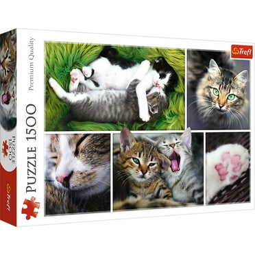 Buffalo Games 750-Piece Closet Cats Interlocking Jigsaw Puzzle ...