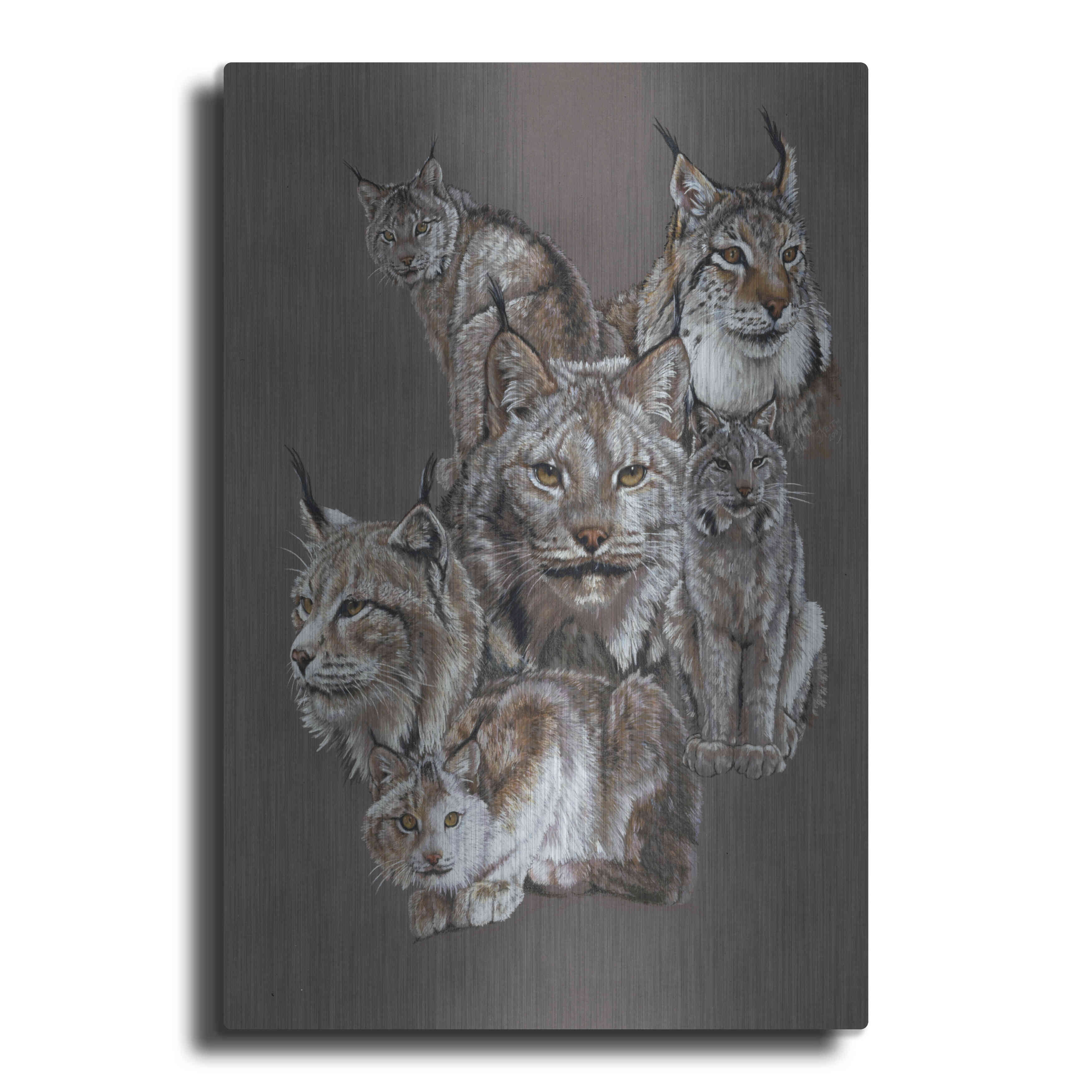 Luxe Metal Art 'Rogue' by Barbara Keith, Metal Wall Art, 12"x16 ...
