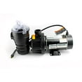 PENTAIR 340210 Dynamo Above Ground Swimming Pool Pump 1.5 Hp w/3' Cord ...